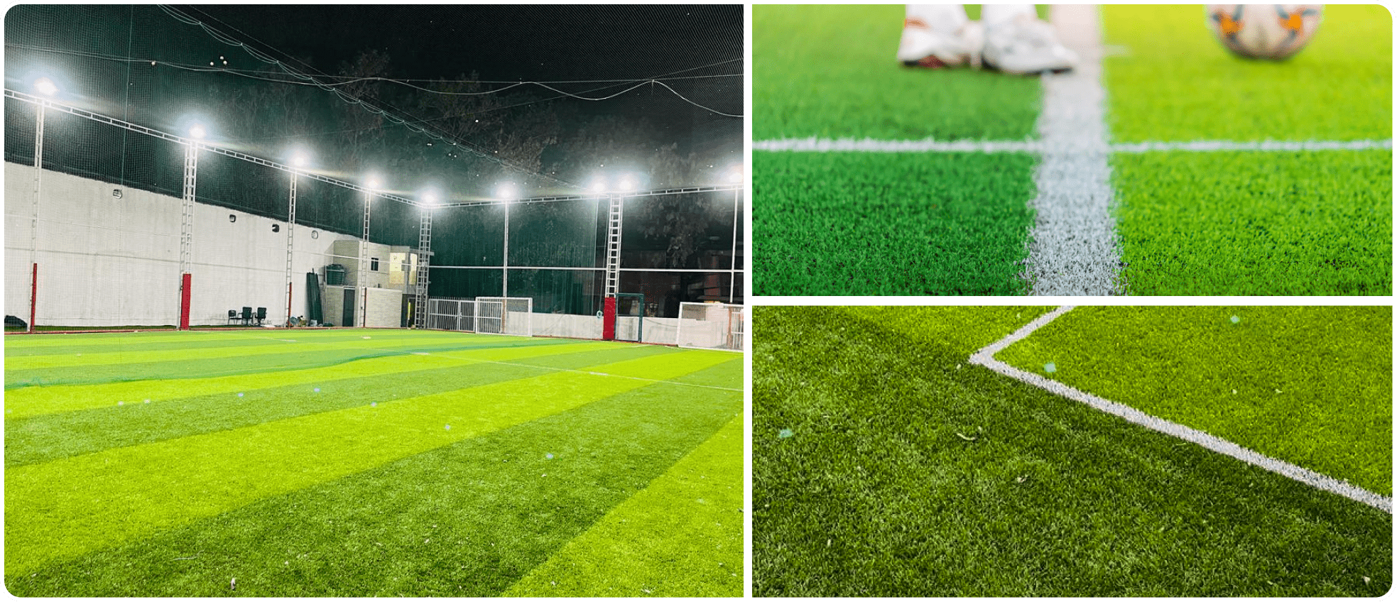 Maharashtra Turf Club: The Ultimate Turf Destination in Mazgaon ...